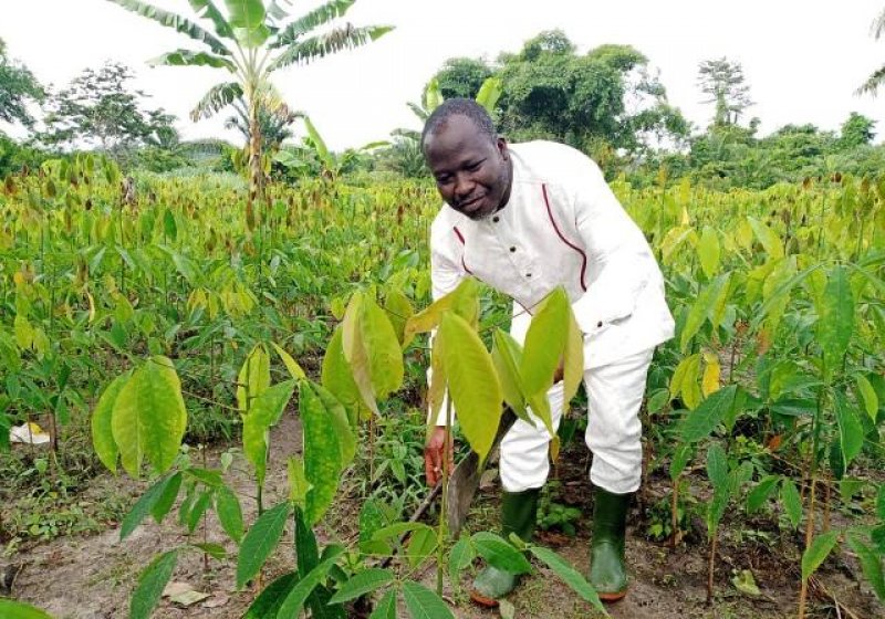 Happy Birthday Hon.Alfred Obeng-Boateng: MP For Bibiani-Anhwiaso-Bekwai ...